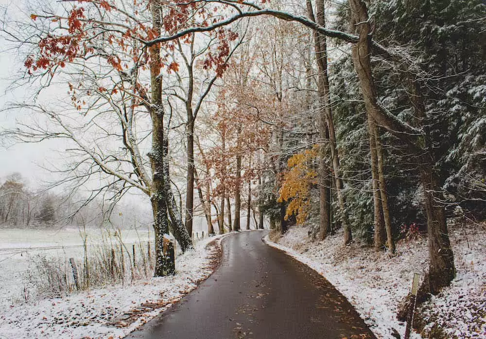 5 Reasons to Drive the Cades Cove Loop in Winter
