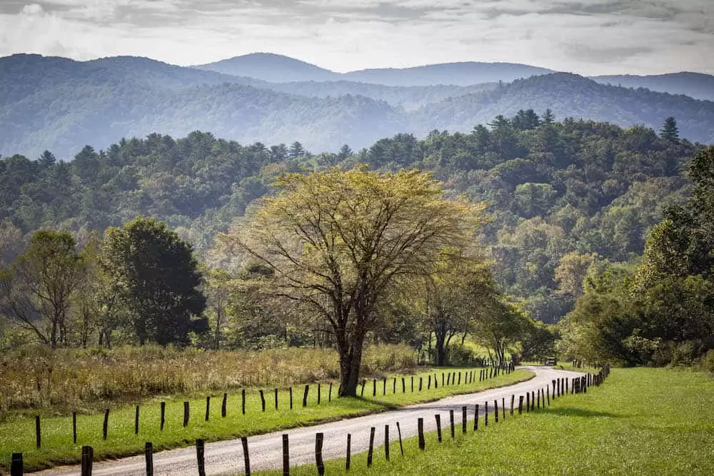 3 Reasons Why You Should Visit Cades Cove on Your Next Trip